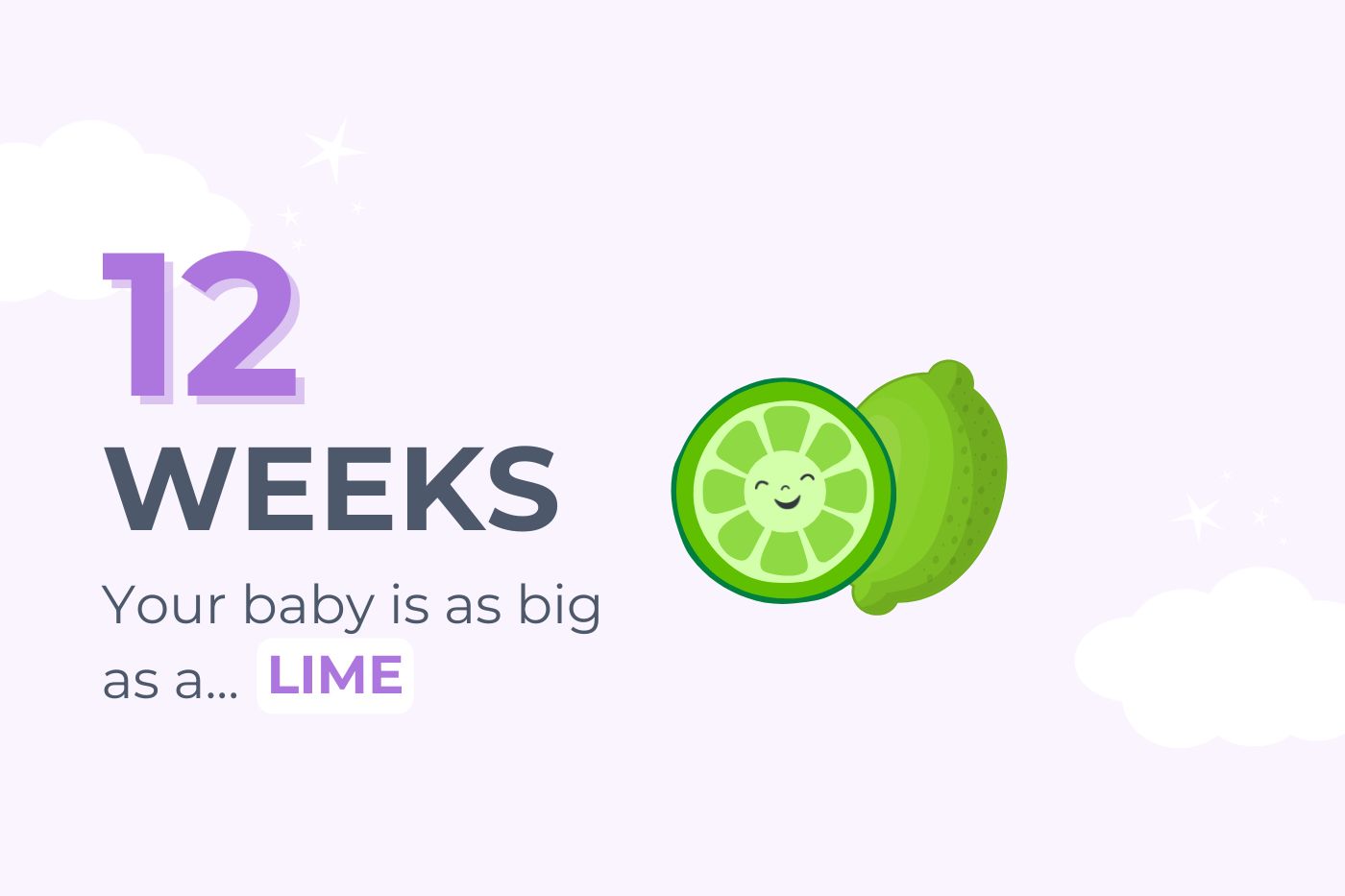 12 Weeks Pregnant: The Happiest Baby Guide to Pregnancy Week by Week