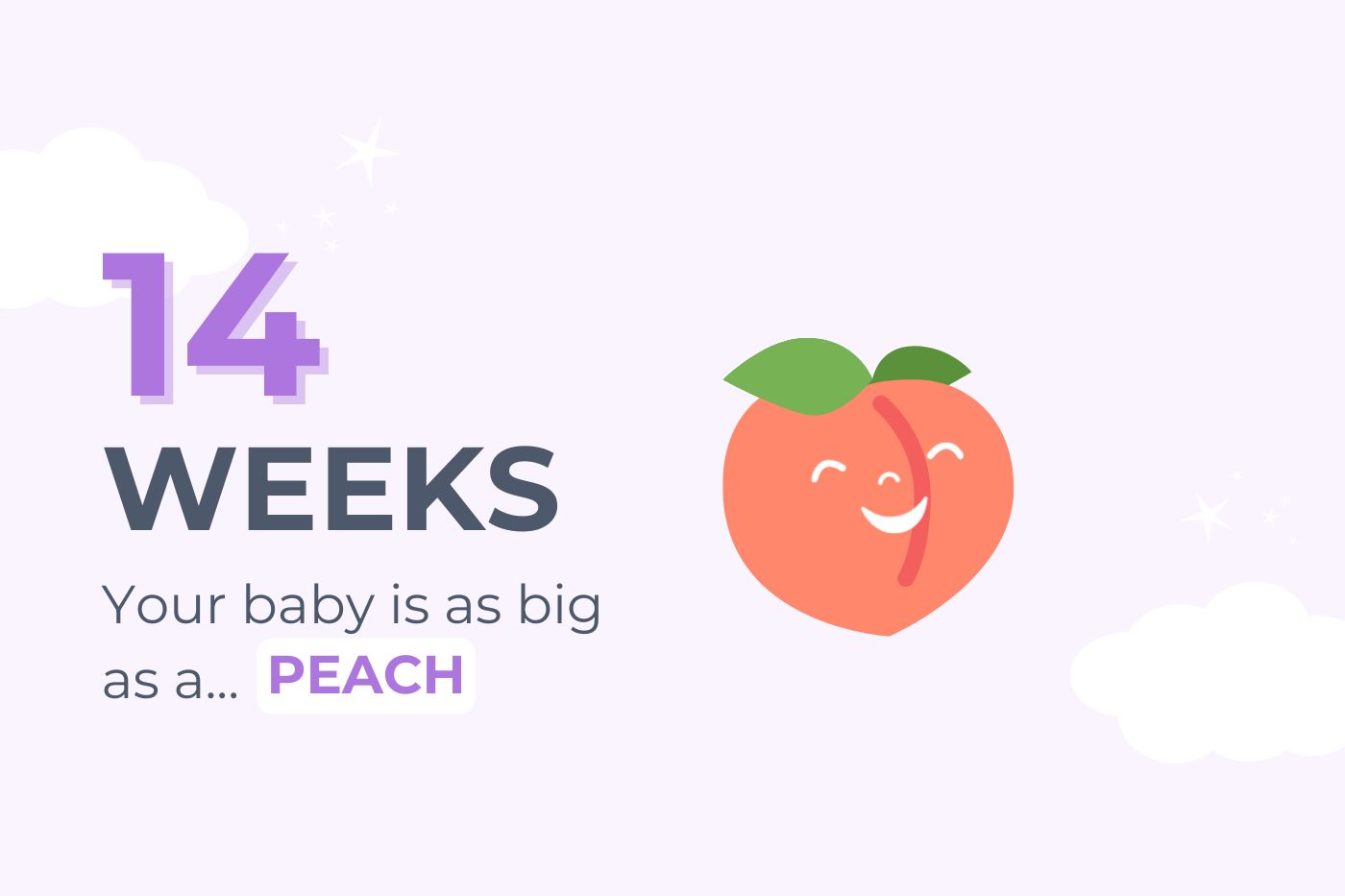 14 Weeks Pregnant: The Happiest Baby Guide to Pregnancy Week by Week
