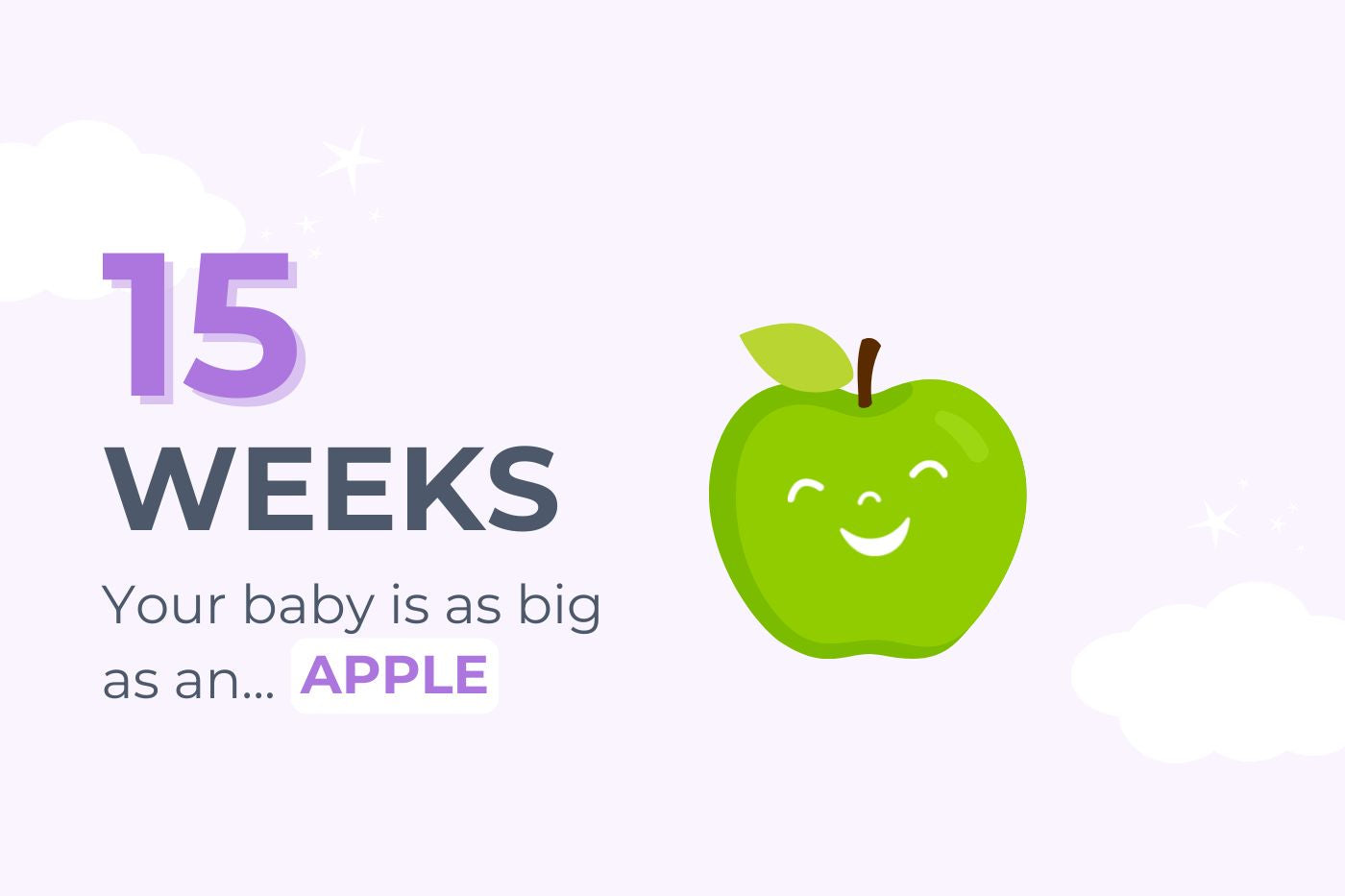 15 Weeks Pregnant: Guide to 15 Weeks of Pregnancy – Happiest Baby