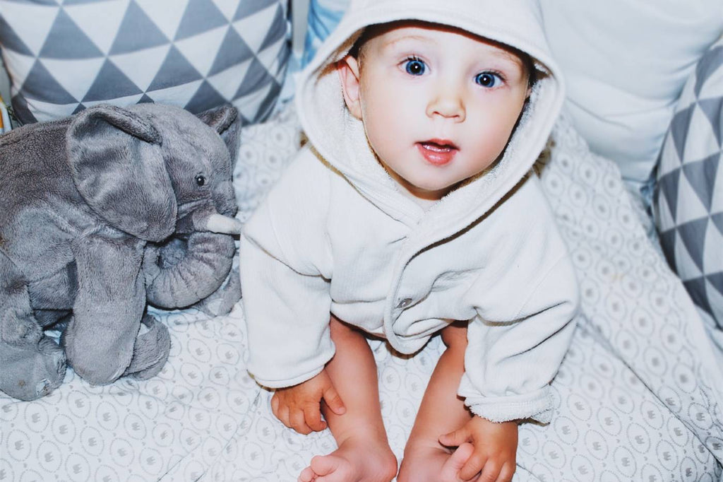 Niall Horan Baby Pictures Elephant
