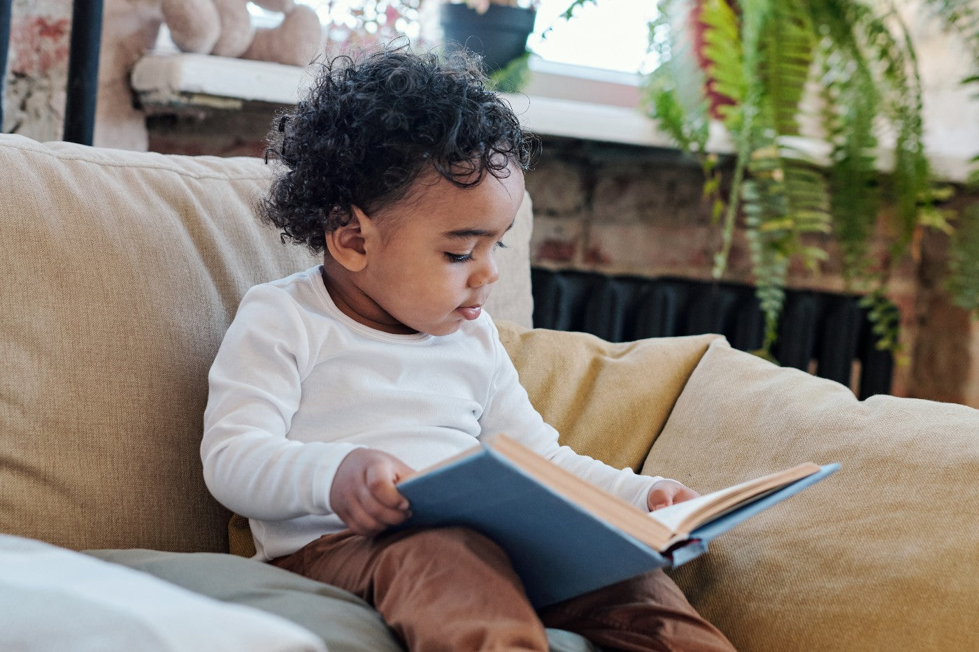 Best Books for Babies 12 to 18 Months – Happiest Baby