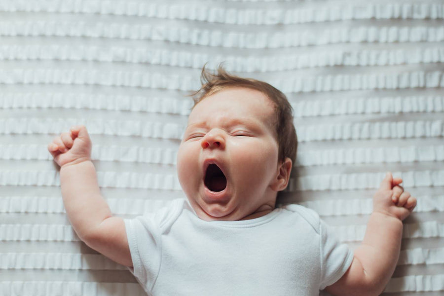 Sleep Training a 6-Month-Old – Happiest Baby