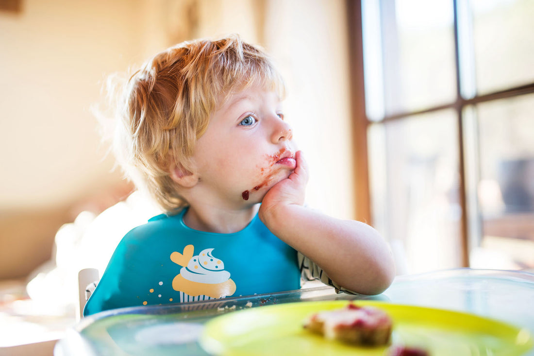 Toddler Appetite: What’s Normal and How to Encourage Eating – Happiest Baby